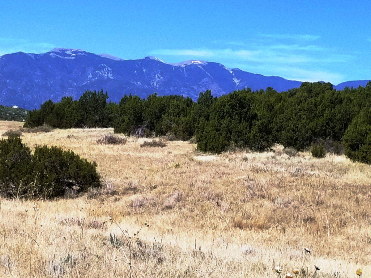 Colo City (NEW), Pueblo County Colorado Land for Sale – Onlinelandsales