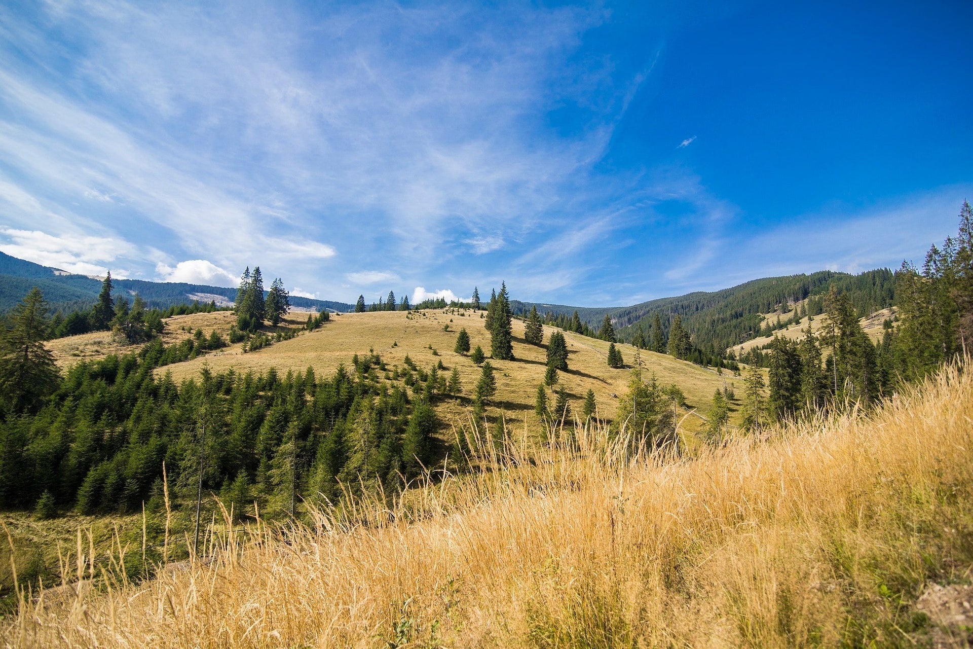 Colorado - Sold – Onlinelandsales